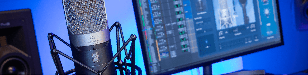 SLATE DIGITAL VMS ML -1A MODELLING MICROPHONE