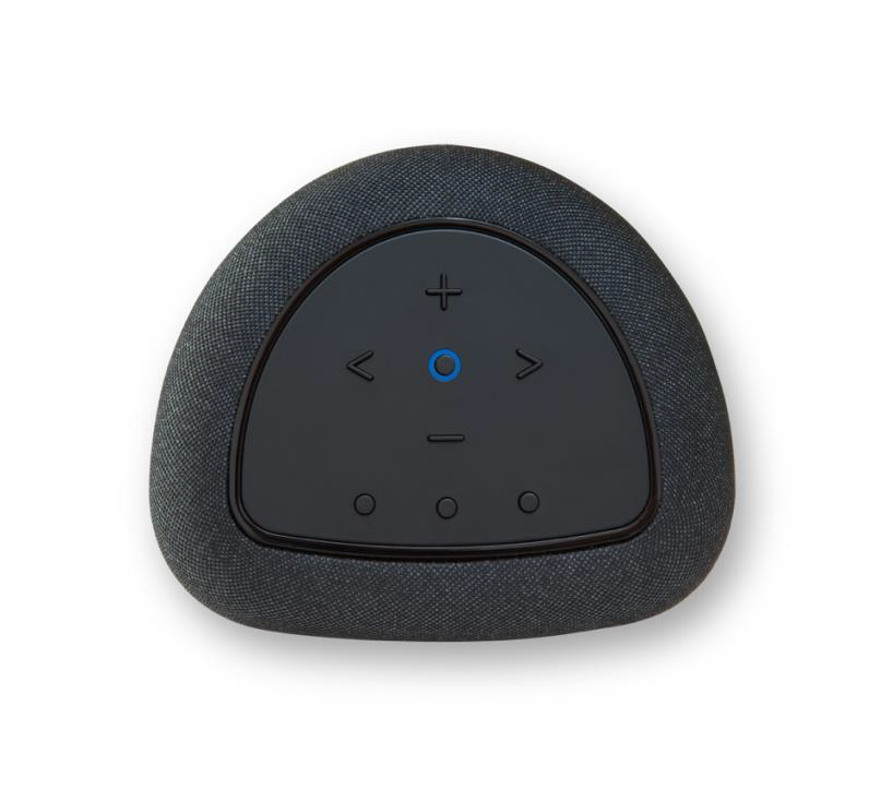 Bluesound Introduces New PULSE FLEX